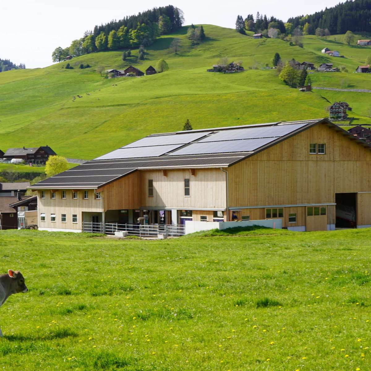 Urnäscher Demeter Hof - Ostschweiz Tourismus